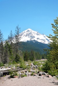 McNeil Campground & Ramona Falls Hike | The (not so) Small Small Trailer